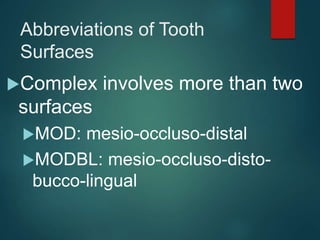 Dental charting, Cavity Classification, Basic Charting Terms | PPTX