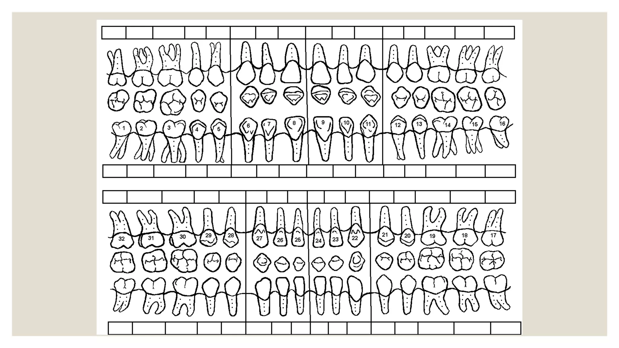 Dental Charting, Color Coding and Symbols: Class Activity | PPTX ...