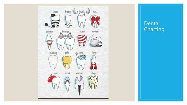 Dental Charting, Color Coding and Symbols: Class Activity | PPTX ...