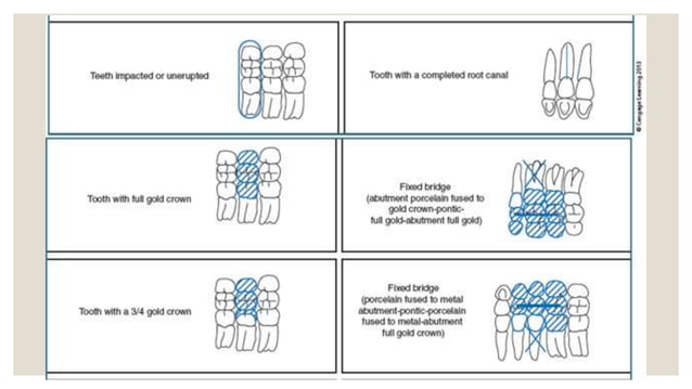 Dental Charting, Color Coding and Symbols: Class Activity | PPTX ...