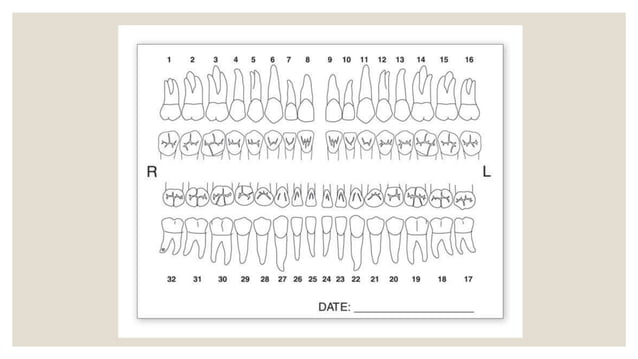 Dental Charting, Color Coding and Symbols: Class Activity | PPTX ...