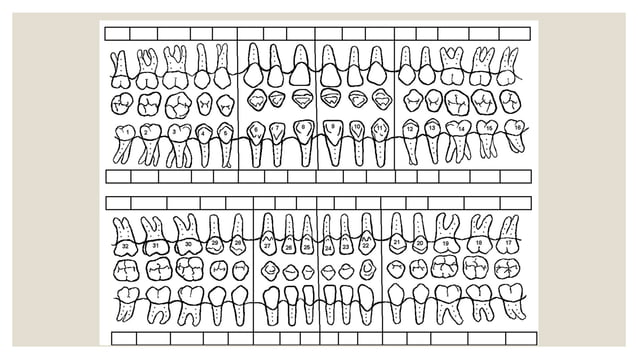 Dental Charting, Color Coding and Symbols: Class Activity | PPTX ...