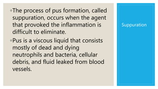 Dental Charting, Color Coding and Symbols: Class Activity | PPTX