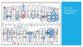 Dental Charting, Color Coding and Symbols: Class Activity | PPT