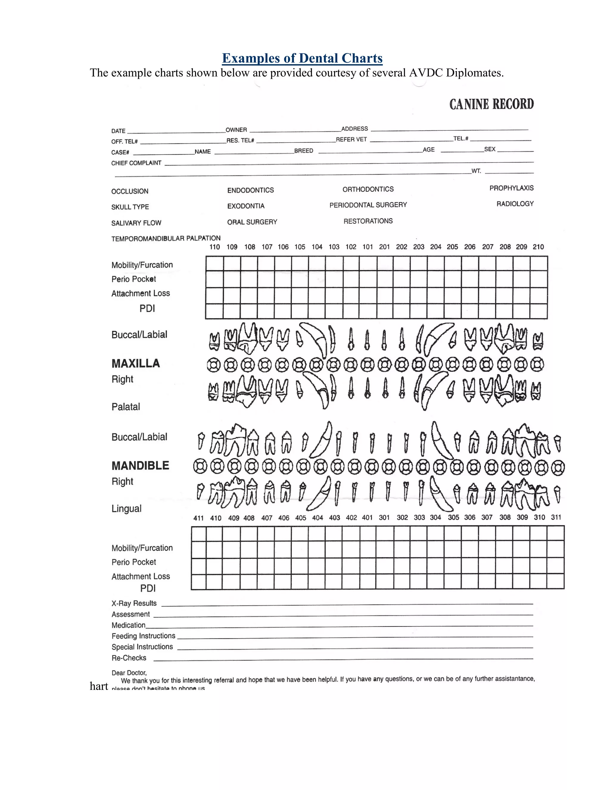 Dental charts | PDF