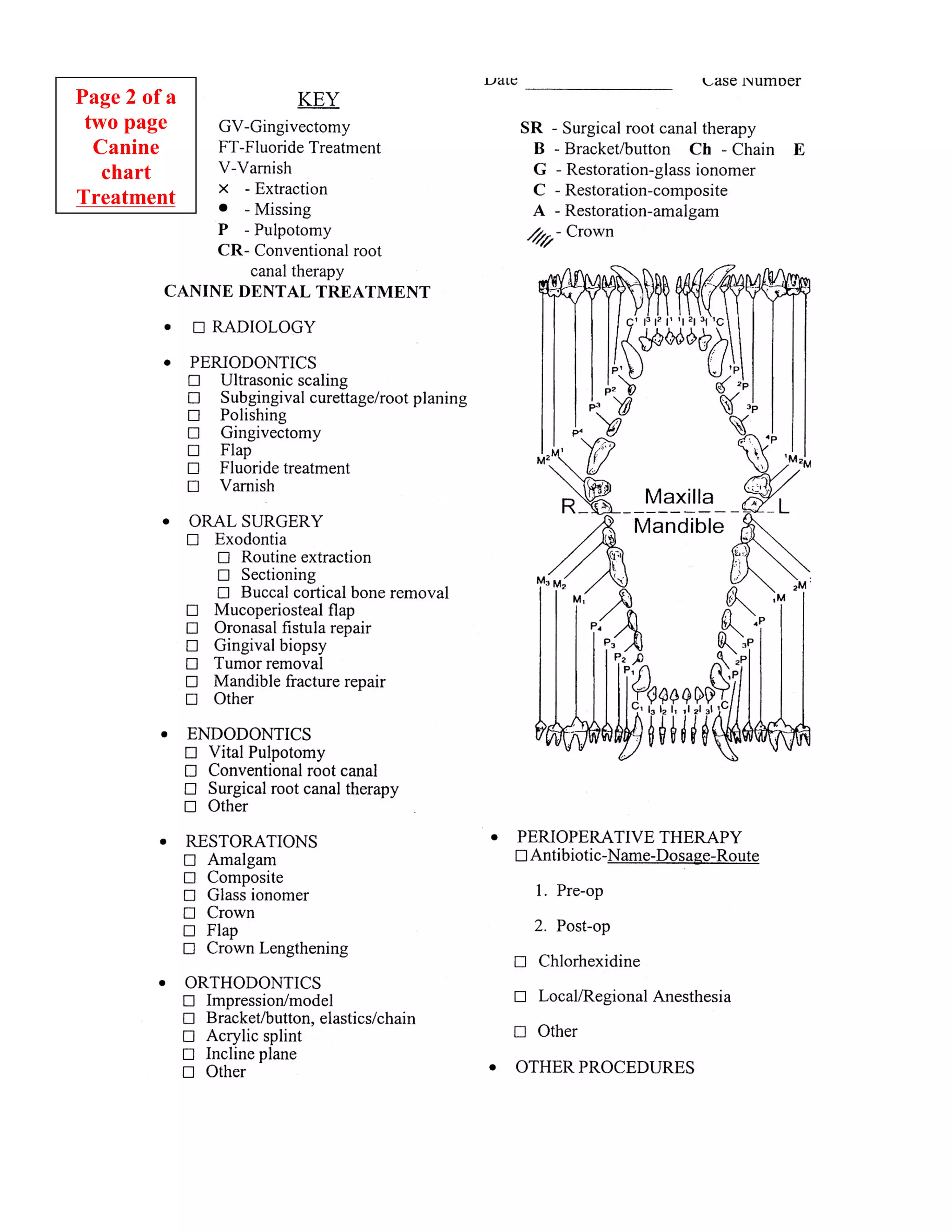 Dental charts | PDF