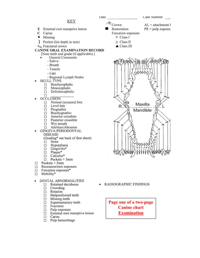 Dental charts | PDF