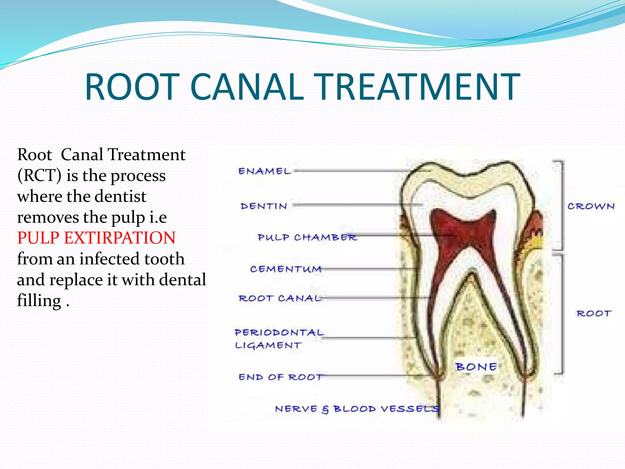 Dental clinic | PPTX