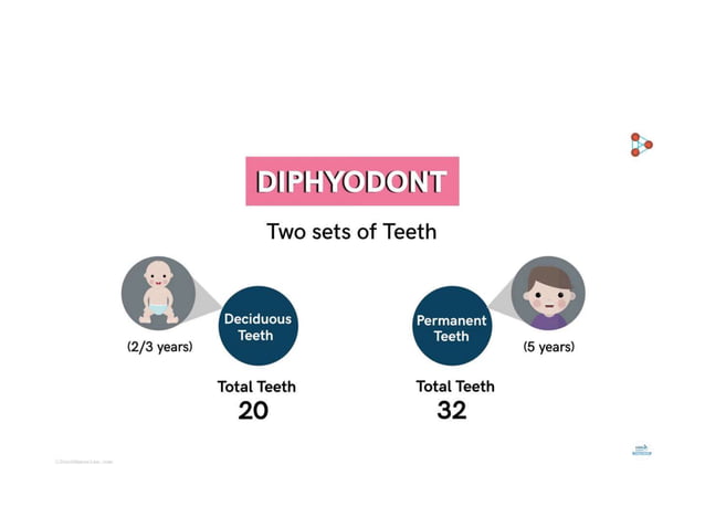 Dental Coding Pptx