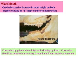 Dental conditions of horses | PPT