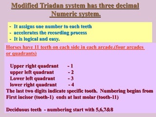 Dental conditions of horses | PPT