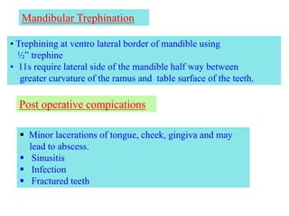 Dental conditions of horses | PPT