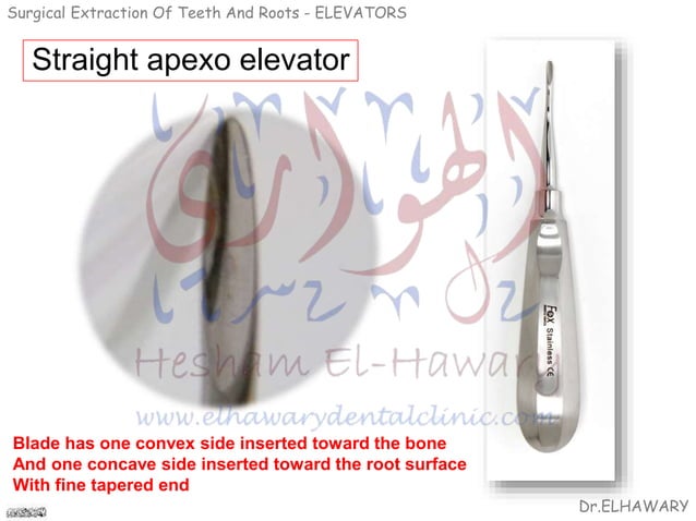 Dental elevators | PPTX | Dental Health | Diseases and Conditions