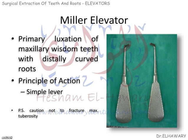 Dental elevators | PPTX | Dental Health | Diseases and Conditions
