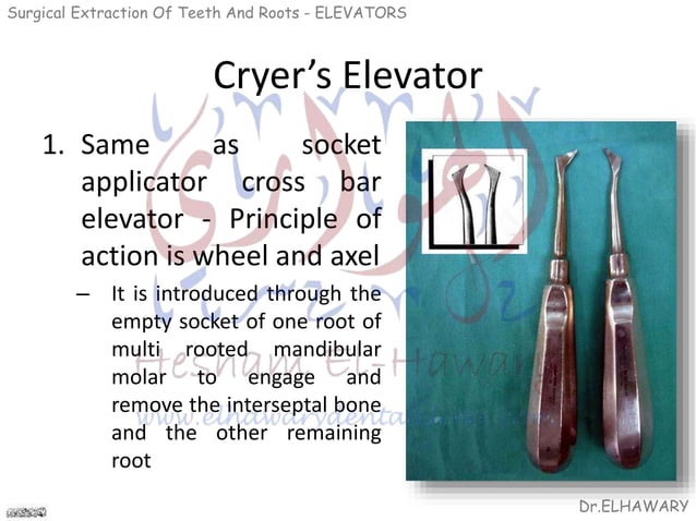 Dental elevators | PPTX | Dental Health | Diseases and Conditions