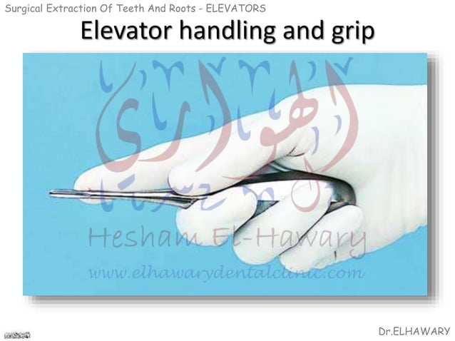 Dental elevators | PPTX | Dental Health | Diseases and Conditions