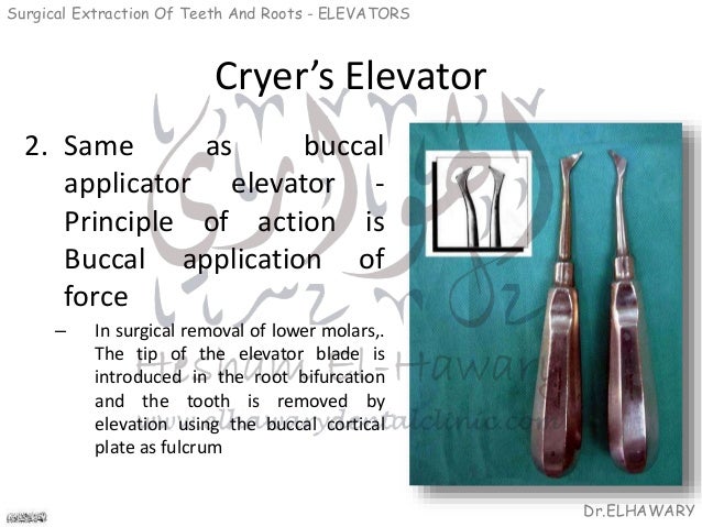 Dental elevators