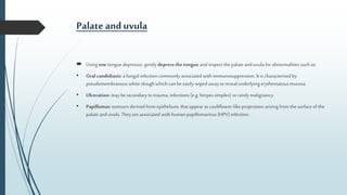 Dental hygiene and mouth cavity care. Basic examination of teeth ...