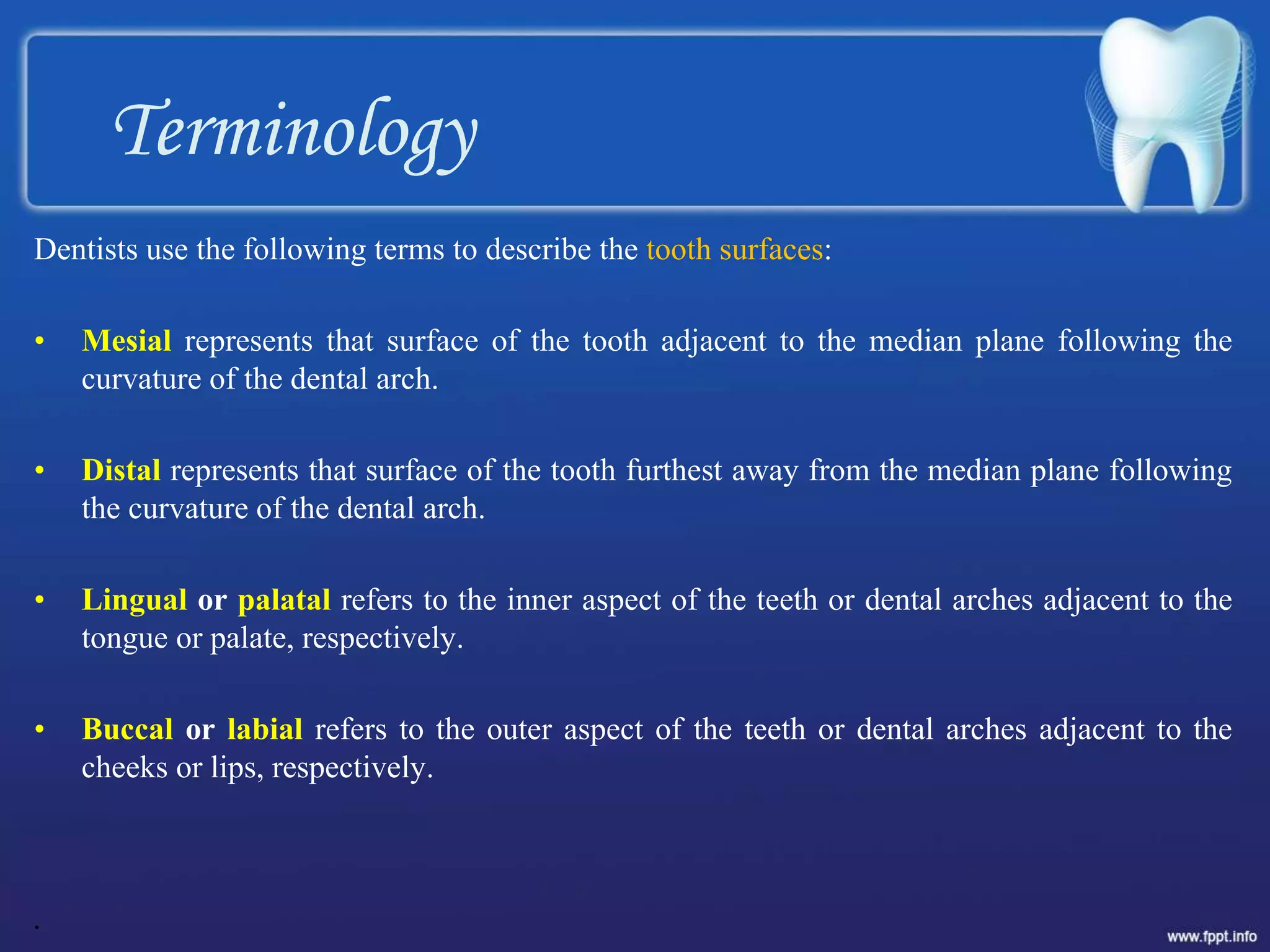 Dental Imaging | PPT