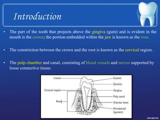Dental Imaging | PPT
