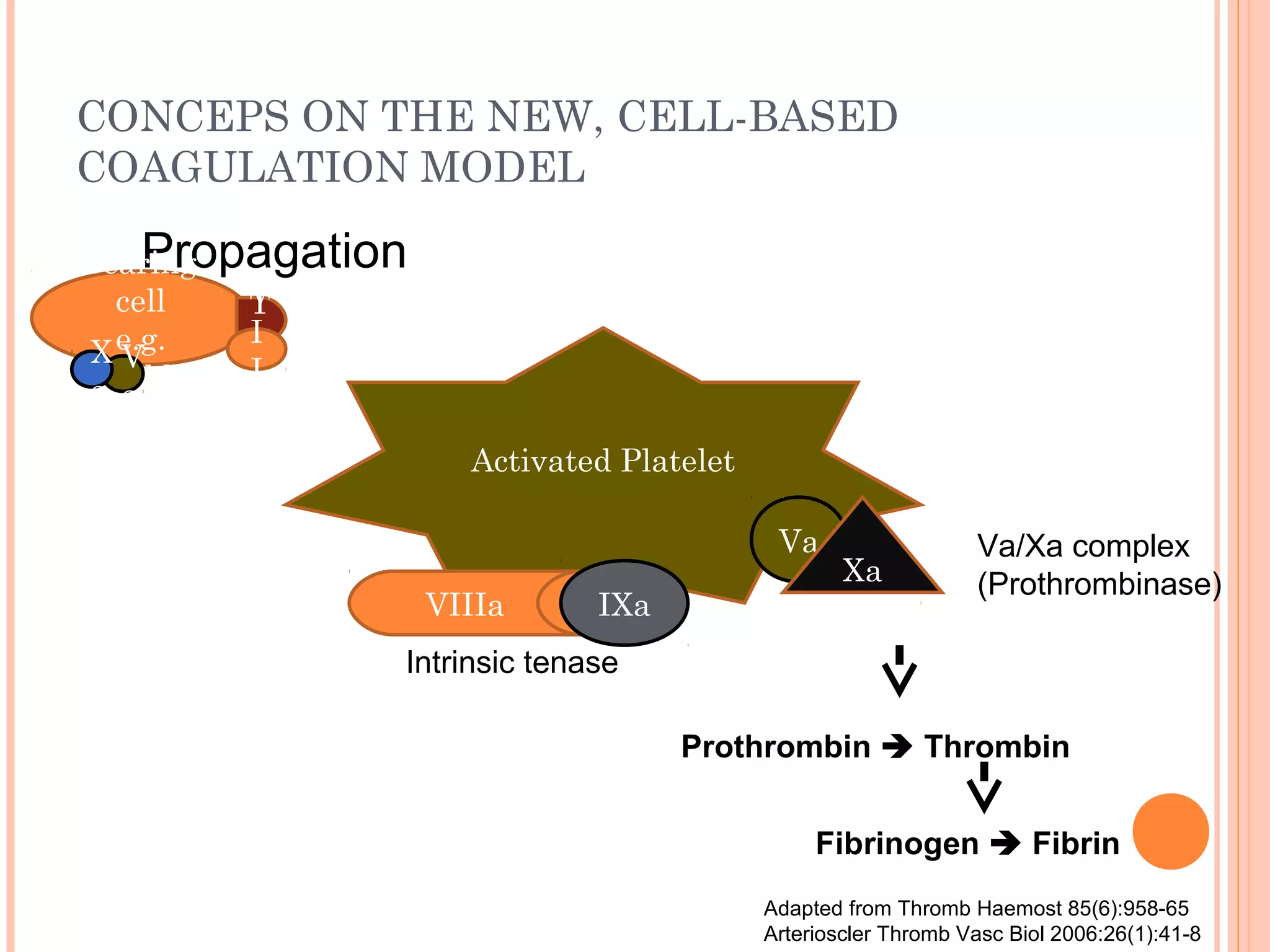 Dental management in patients receiving anticoagulation or antiplatelet ...