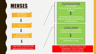Dental management of female periodontium | PPTX
