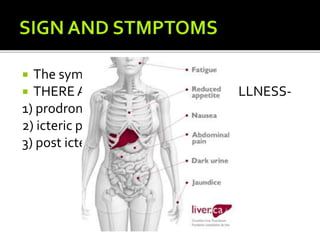 Dental management of patient with hepatic disease | PPTX