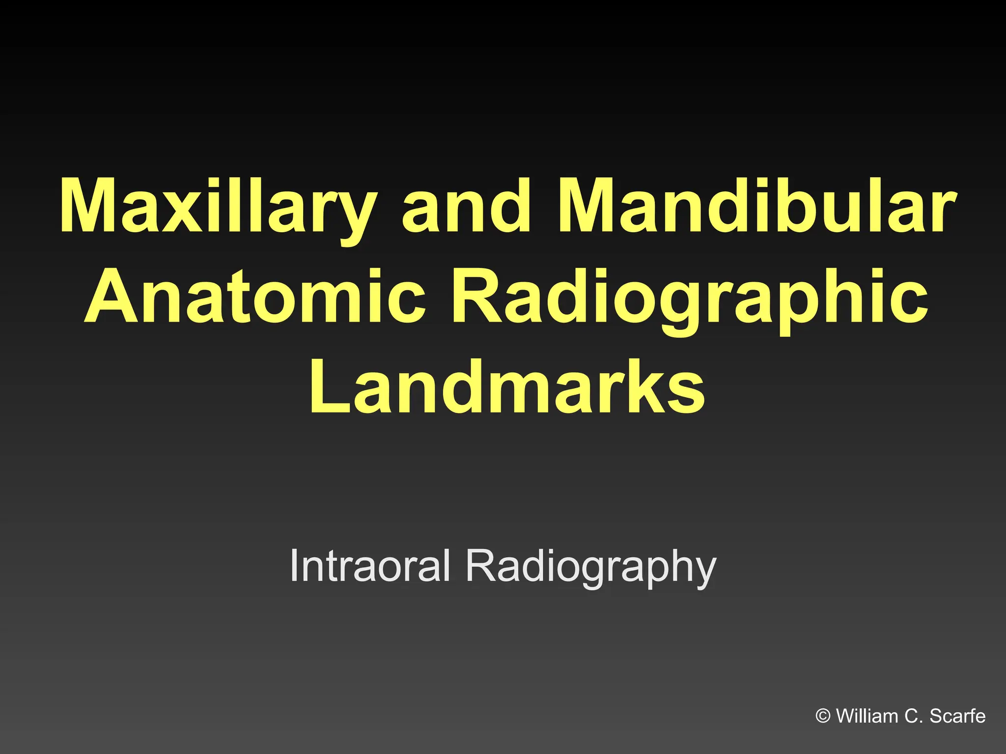 Dental Maxillary and Mandibular Anatomic Radiographic Landmarks.ppt