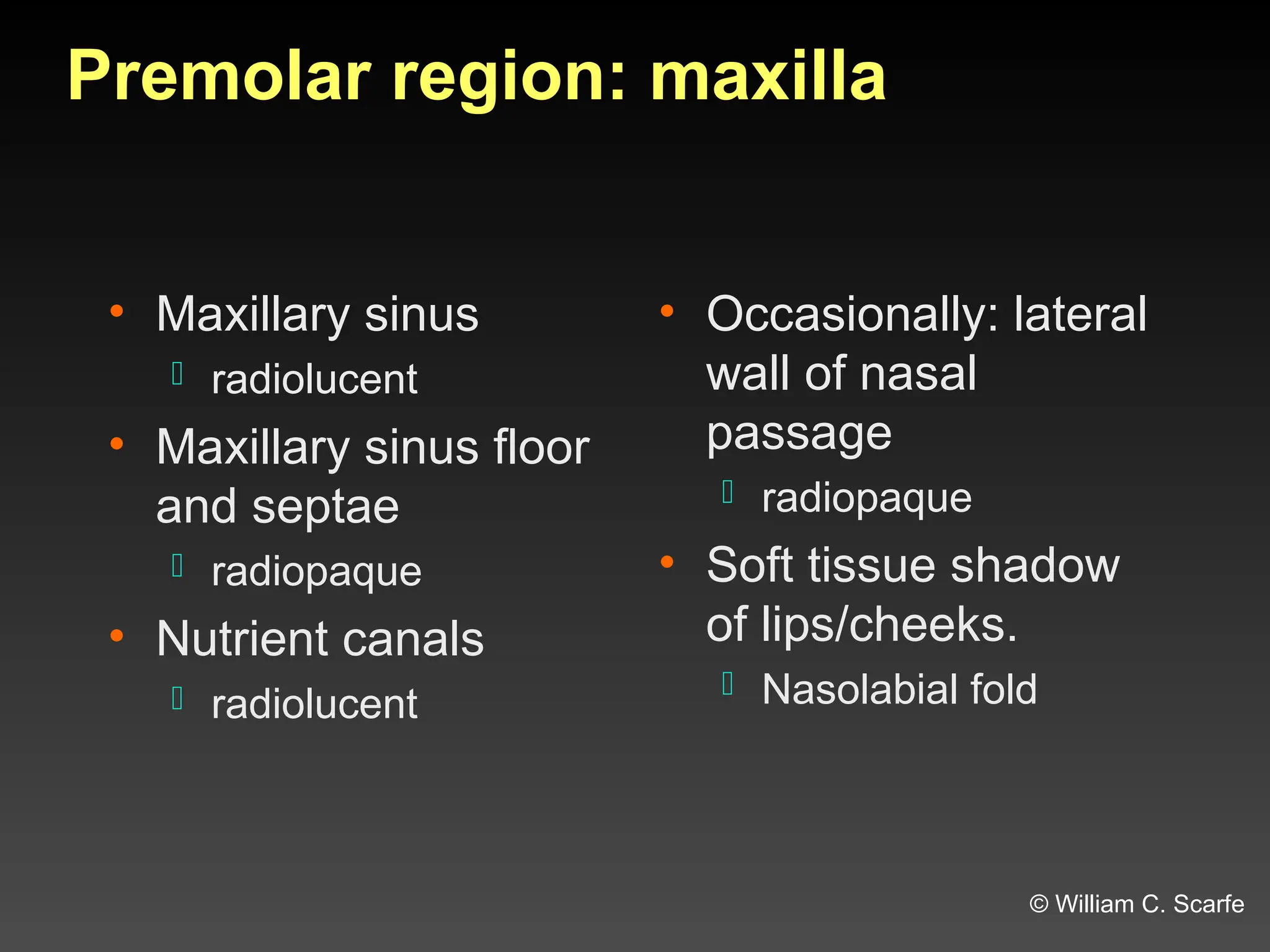 Dental Maxillary and Mandibular Anatomic Radiographic Landmarks.ppt