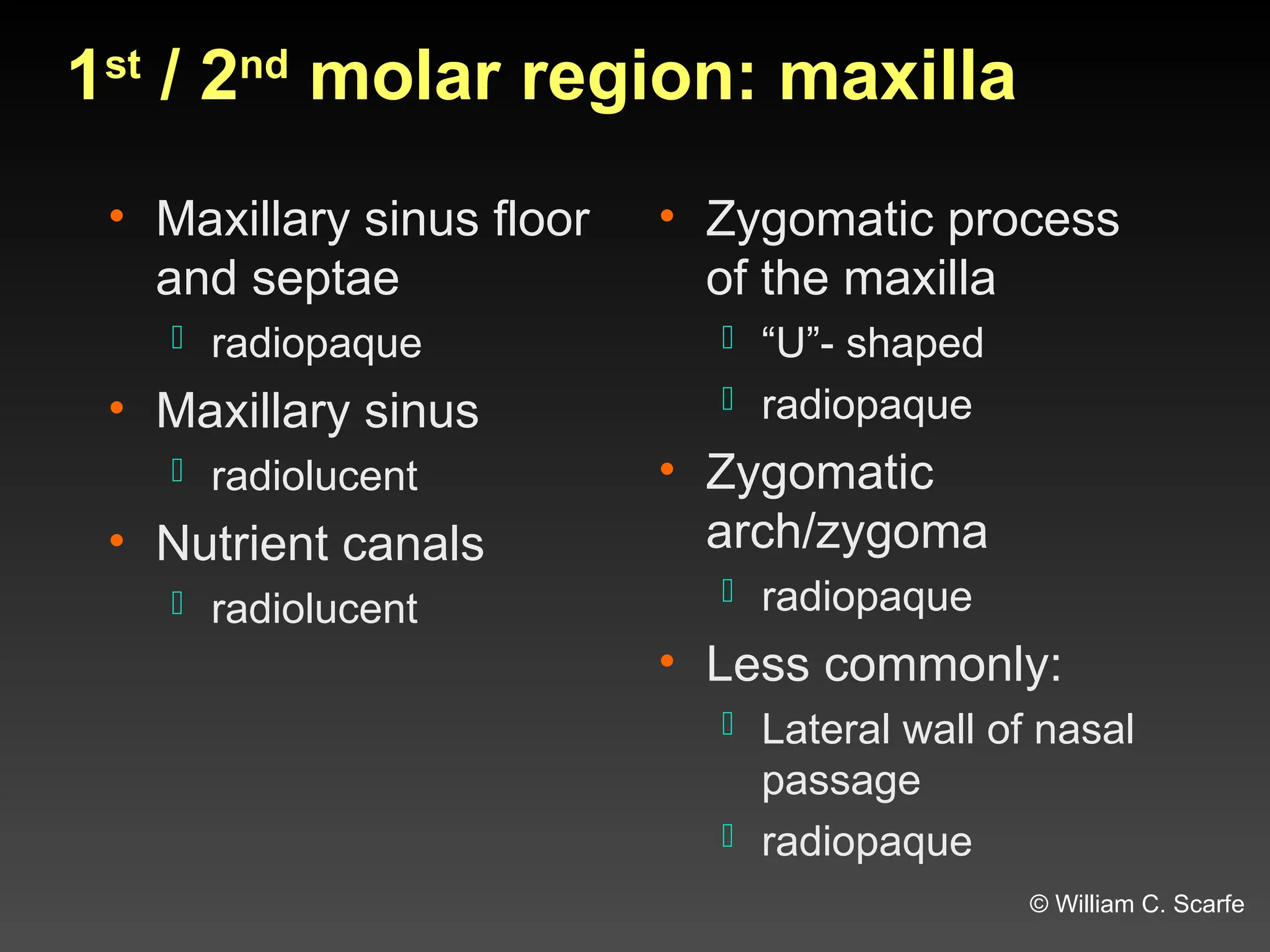 Dental Maxillary and Mandibular Anatomic Radiographic Landmarks.ppt