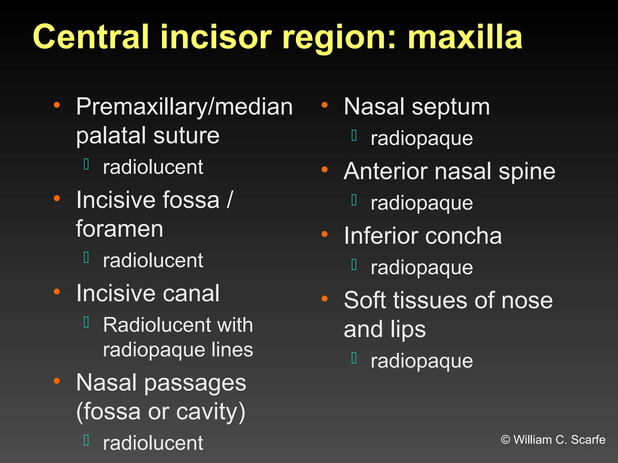 Dental Maxillary and Mandibular Anatomic Radiographic Landmarks.ppt
