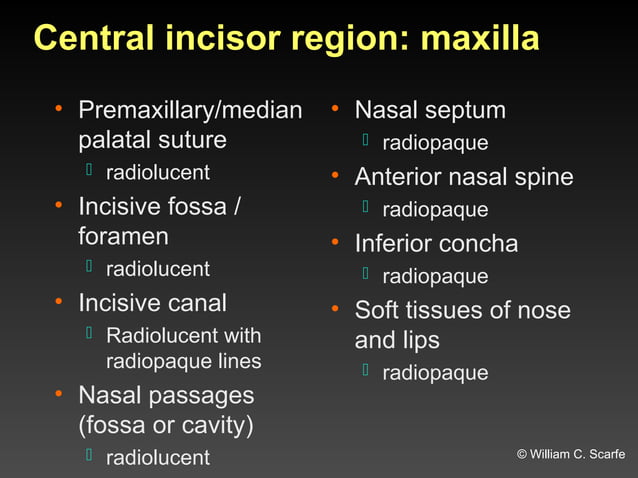Dental Maxillary and Mandibular Anatomic Radiographic Landmarks.ppt | 3 ...