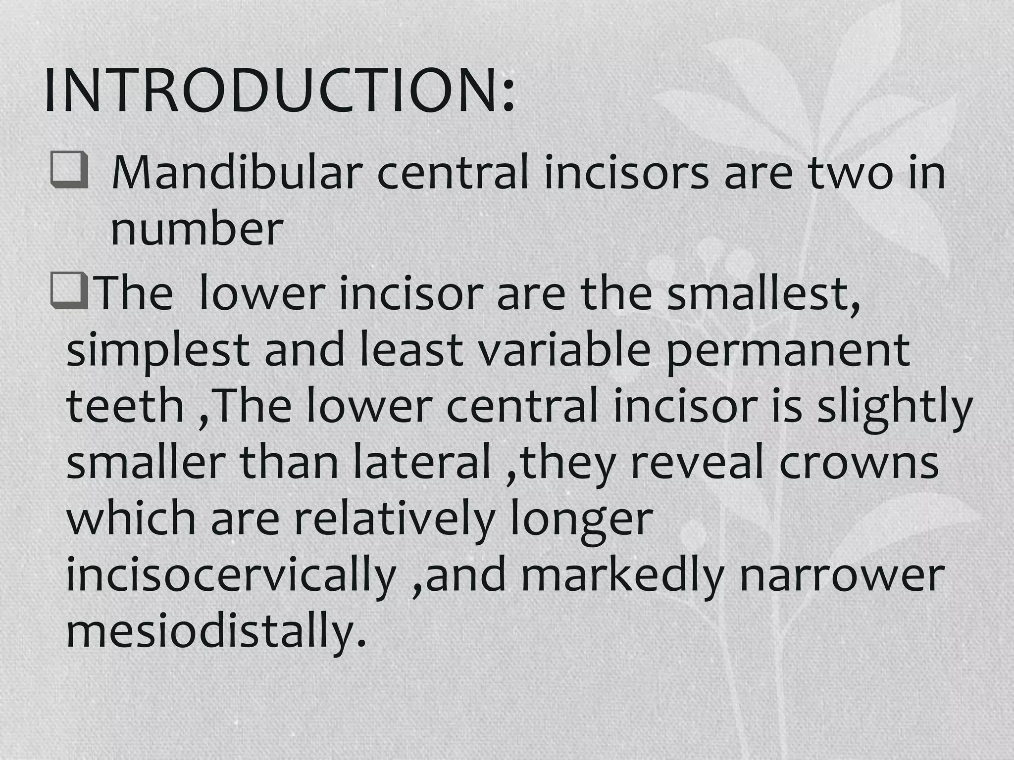 lower/mandibular central incisor | PPTX
