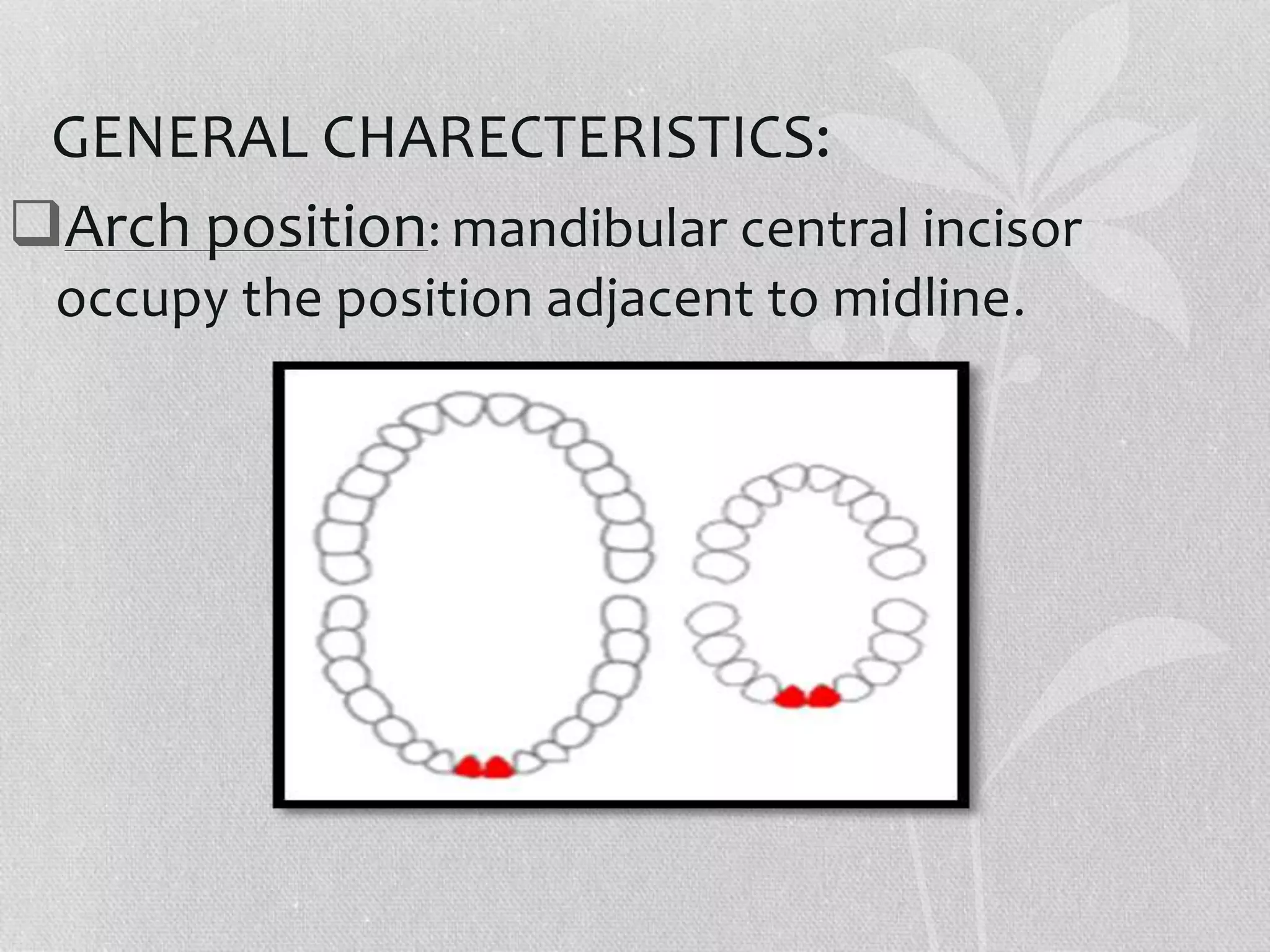 lower/mandibular central incisor | PPTX