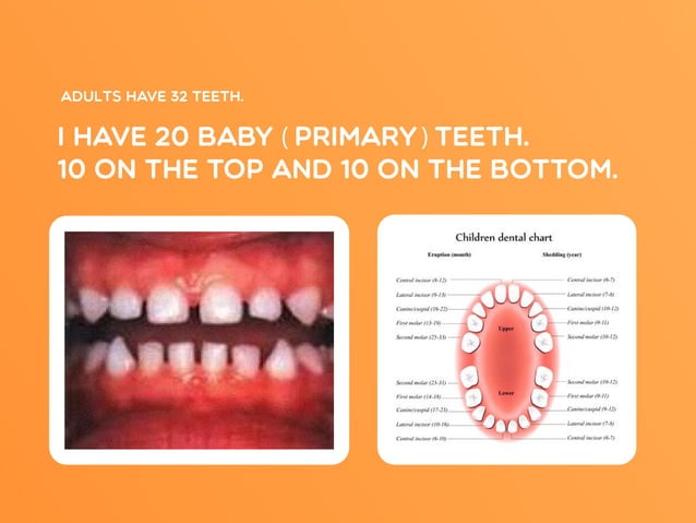 Dental Health Presentation: For Kids | PDF