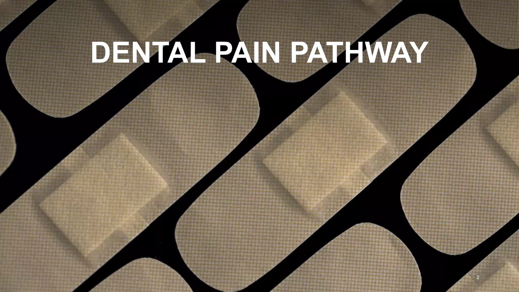 Facial/Dental Pain Pathway and Atypical Odontalgia | PPTX