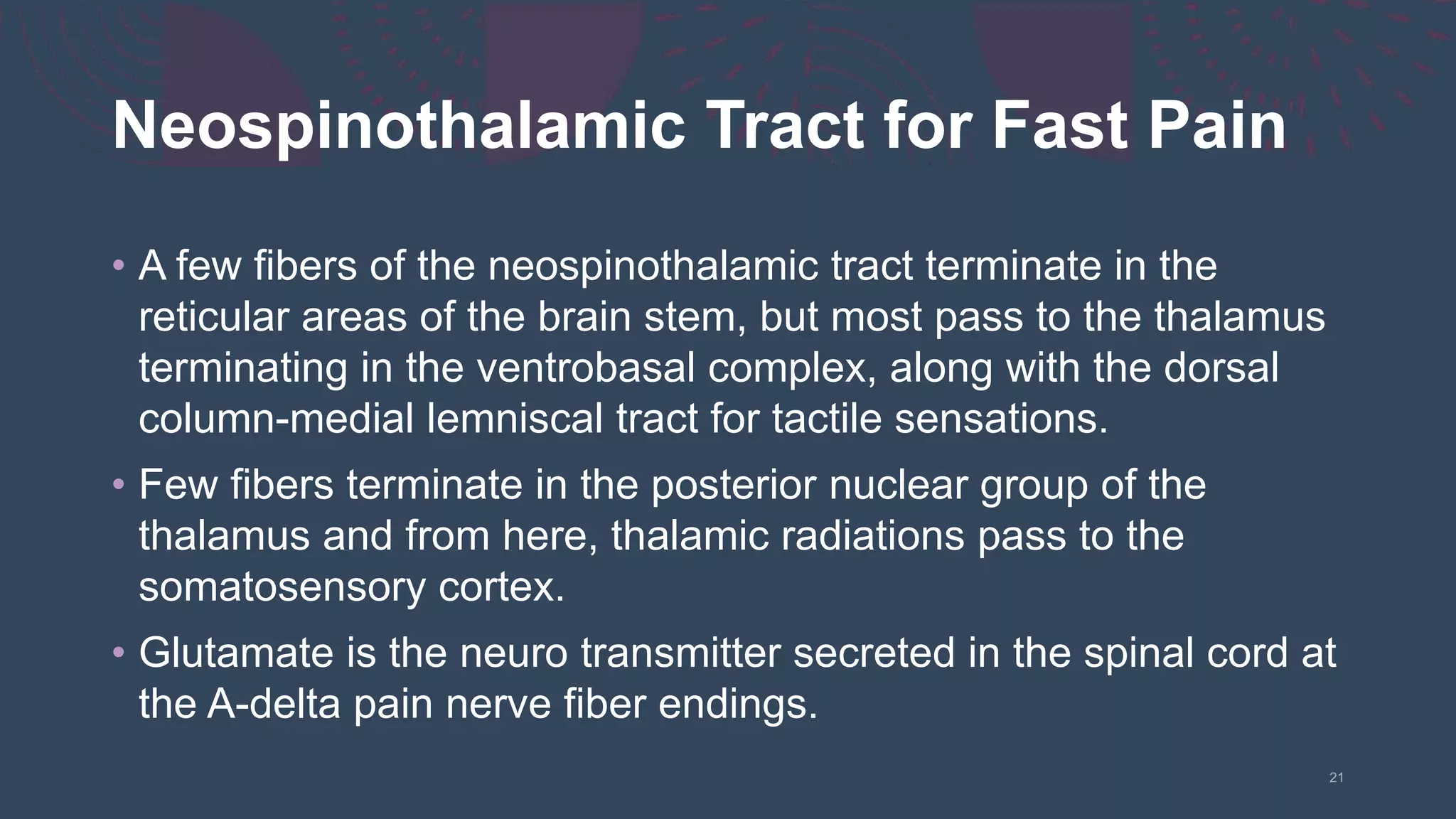 Facial/Dental Pain Pathway and Atypical Odontalgia | PPTX