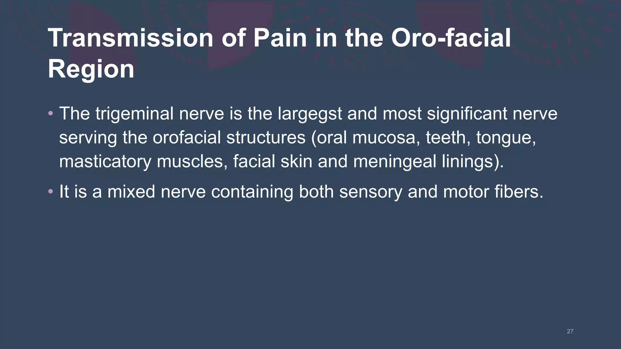 Facial/Dental Pain Pathway and Atypical Odontalgia | PPTX