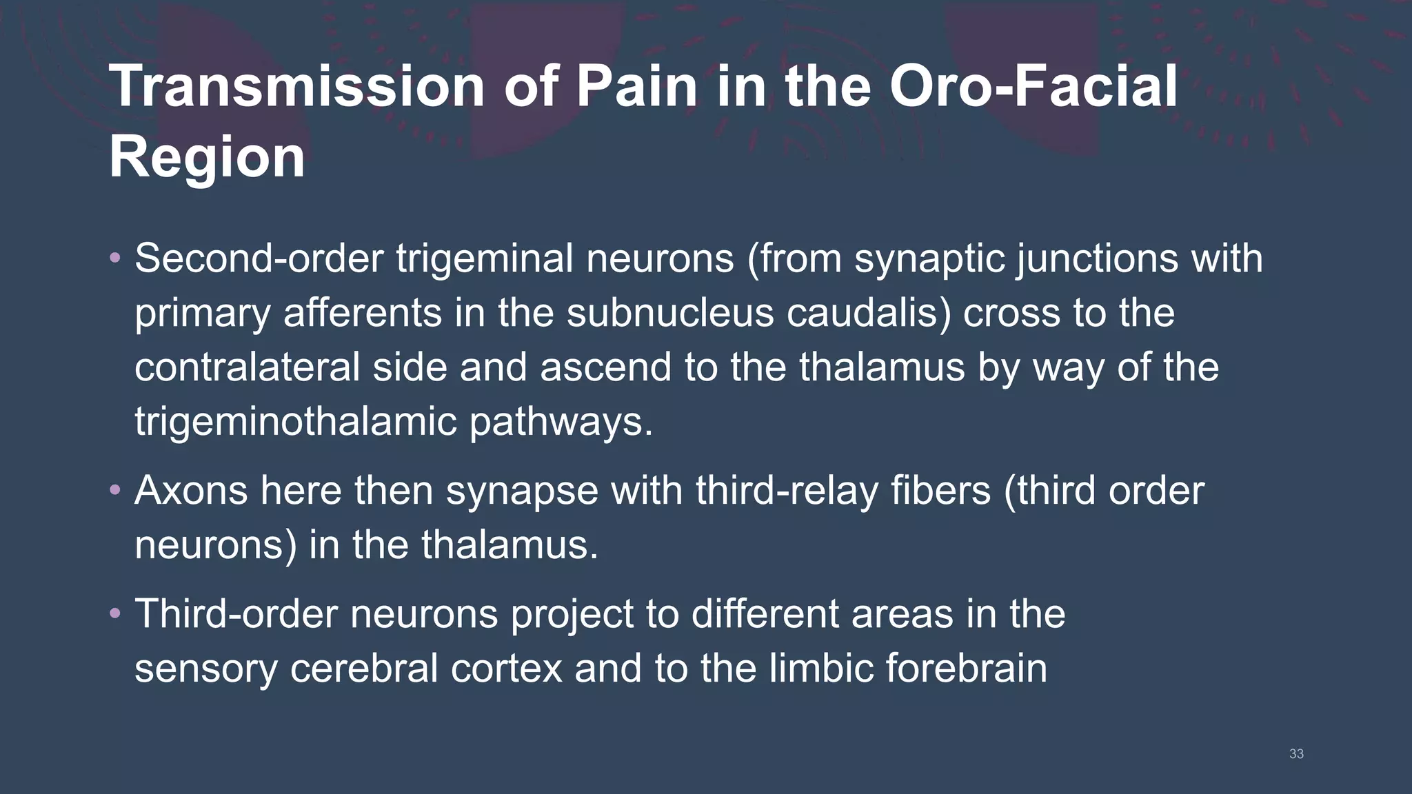 Facial/Dental Pain Pathway and Atypical Odontalgia | PPTX