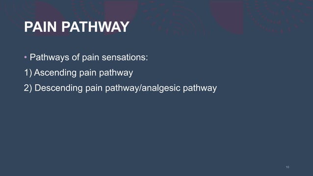 Facial/Dental Pain Pathway and Atypical Odontalgia | PPTX | Dental ...