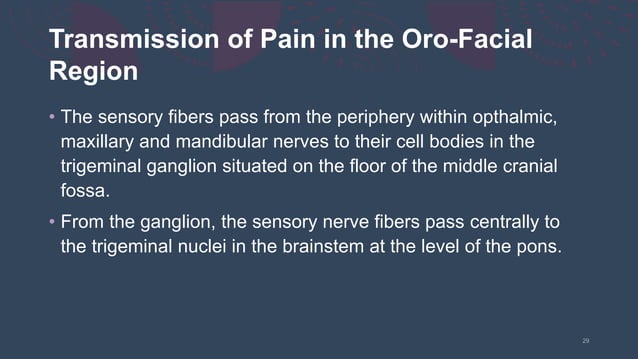 Facial/Dental Pain Pathway and Atypical Odontalgia | PPTX | Dental ...