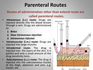 General Dental pharmacology | PPTX
