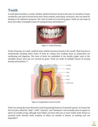 Dental pharmacy ~wali | DOCX