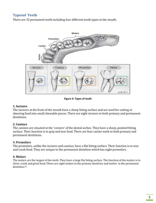 Dental pharmacy ~wali | DOCX