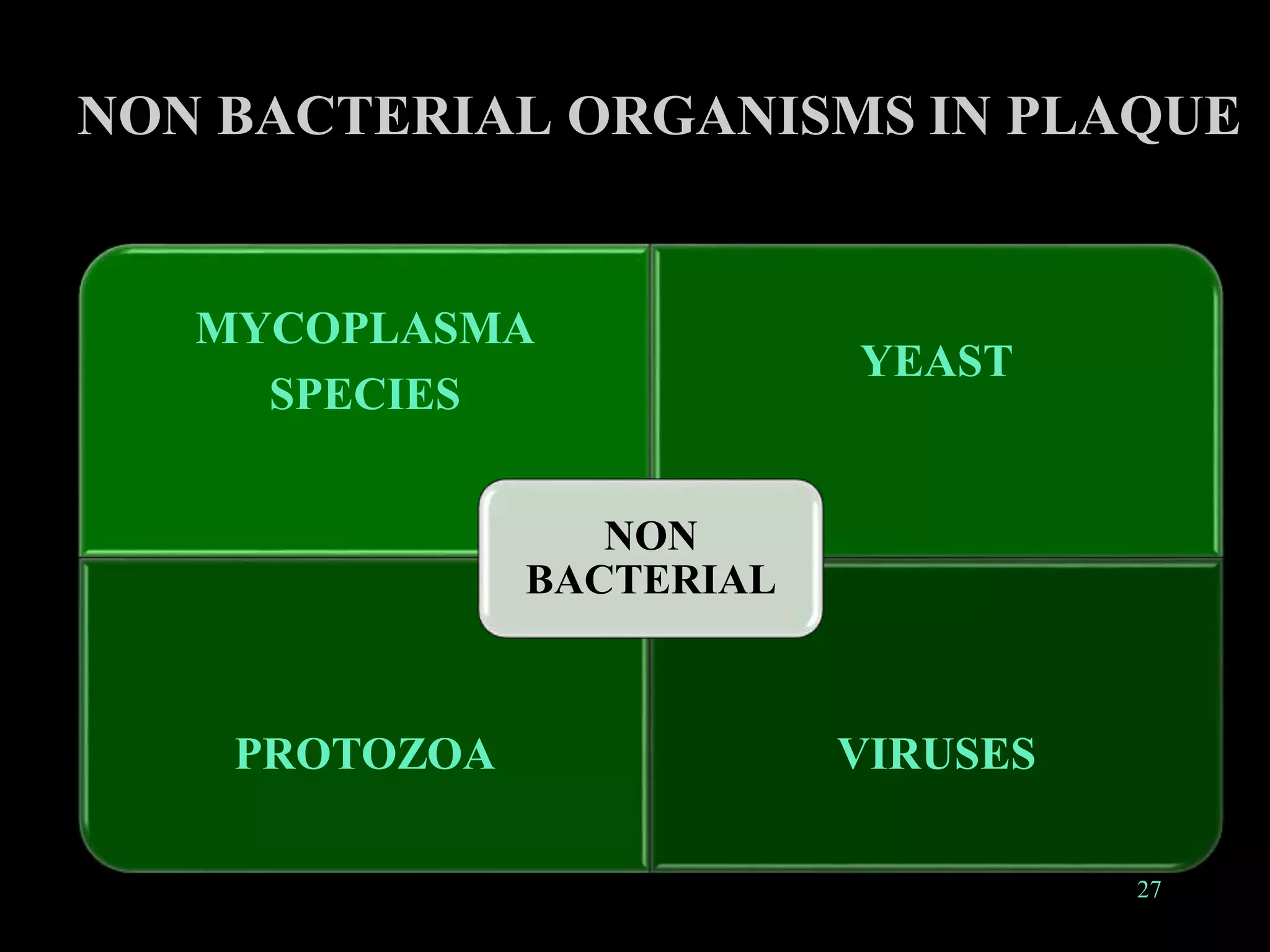 Dental Plaque | PPTX