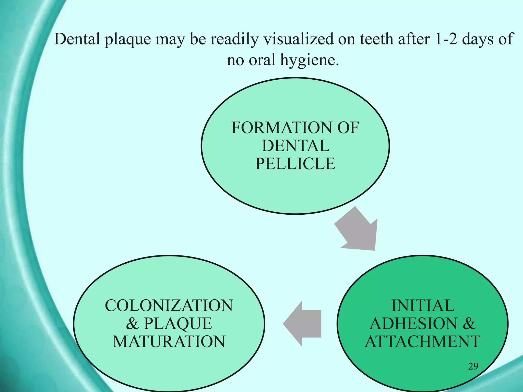 Dental Plaque | PPTX