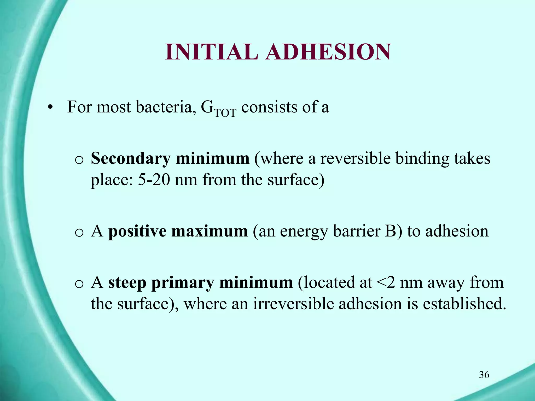 Dental Plaque | PPTX
