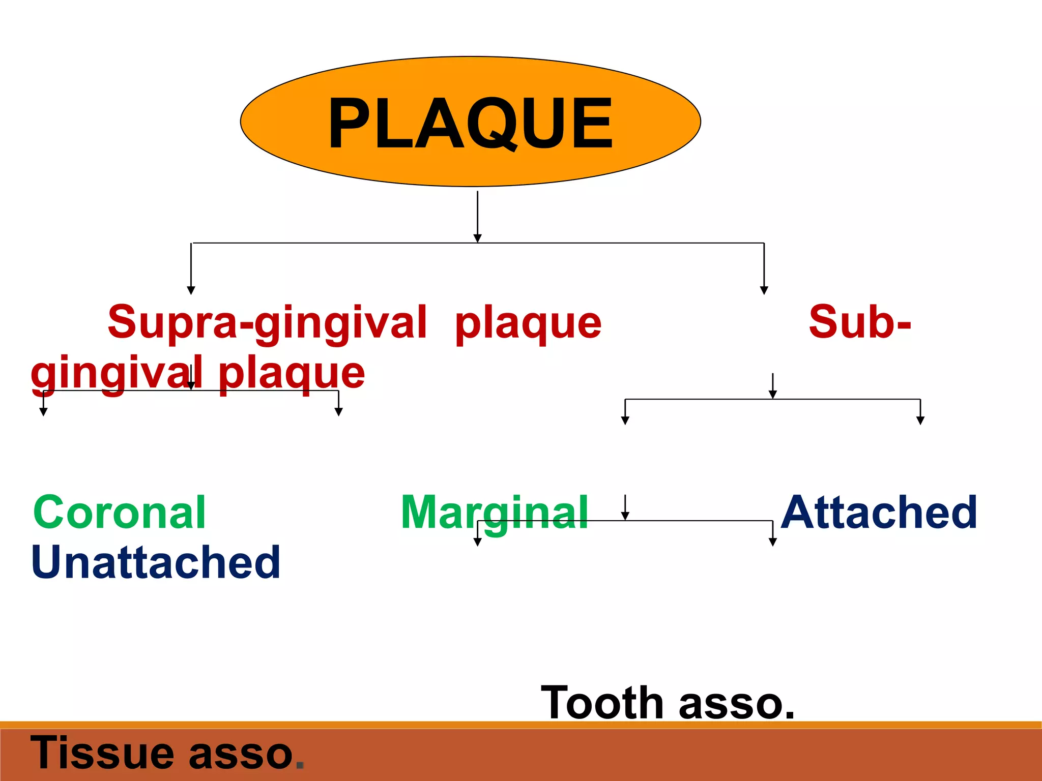 Dental plaque | PPTX