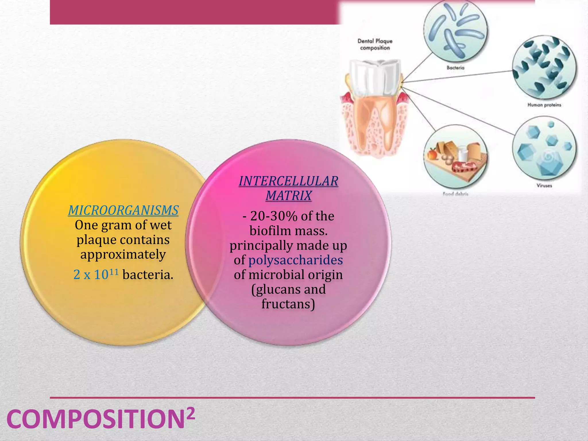 Dental plaque | PPTX