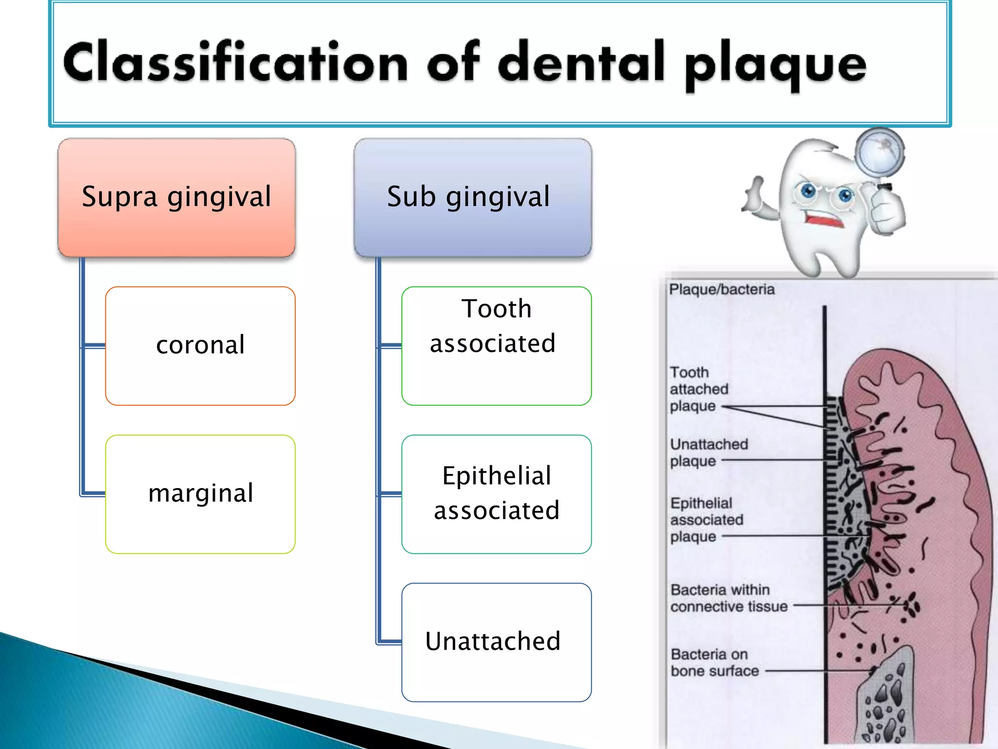 Dental plaque | PPTX